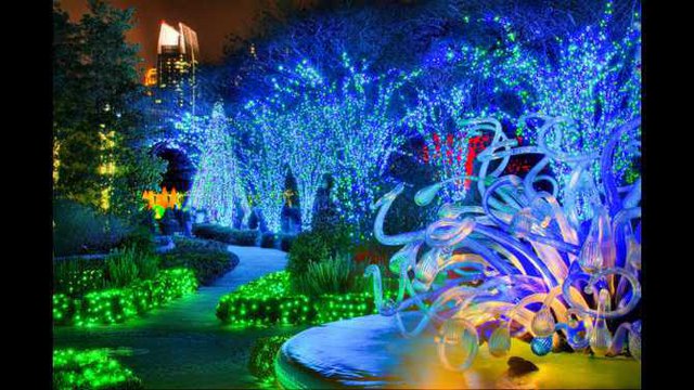 Night of Lights - The Covington News