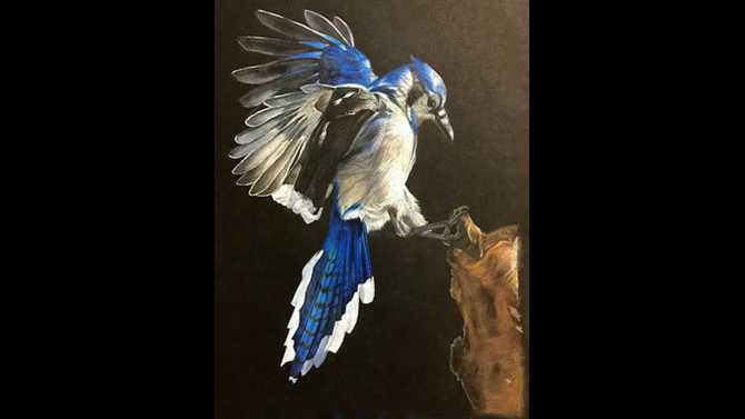 DNR announces t-shirt art winners for youth birding competition - The ...