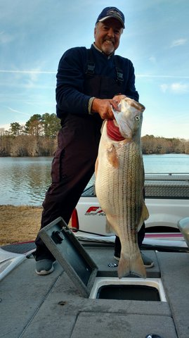 Angler awards recognize great catches; be sure to submit yours this ...