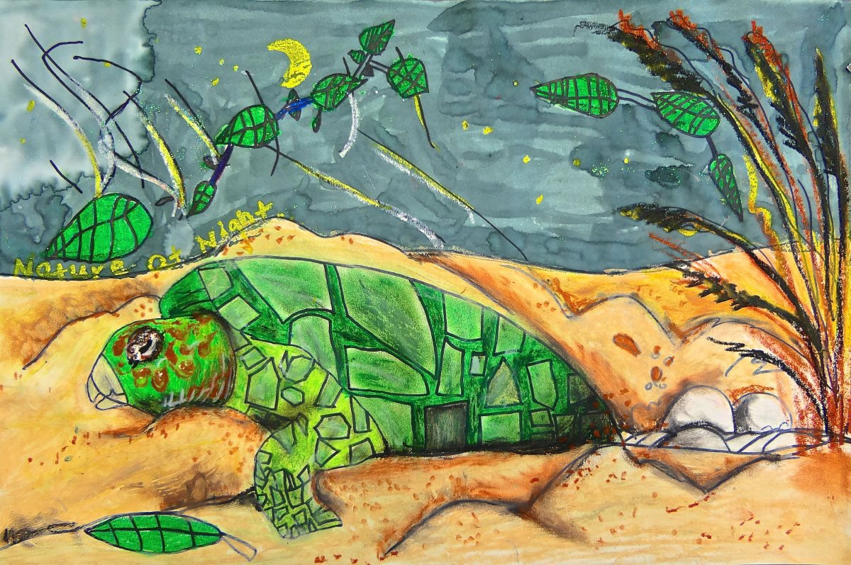 Statewide winners announced in Give Wildlife a Chance poster contest ...