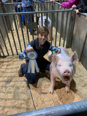 NCSS FFA chapters prepare for 2019-2020 Pig Show Season - The Covington ...