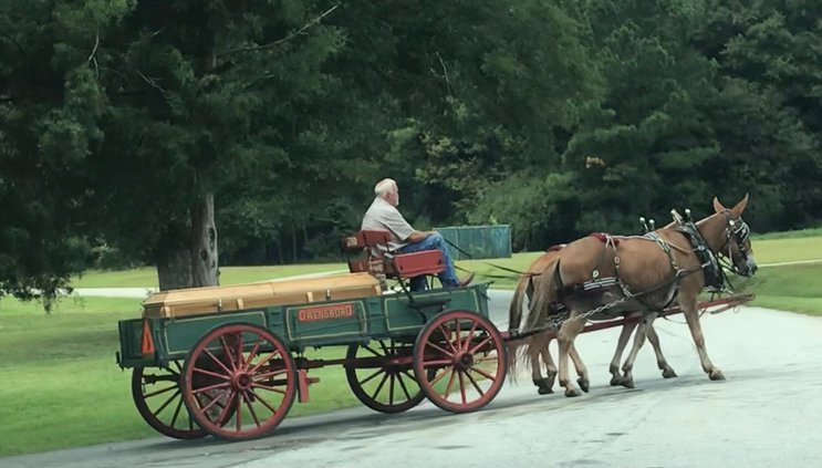 Mules pull wagon carrying longtime Oxford supervisor to final resting ...