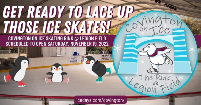 NEWTON EVENTS: Ice Days, Mistletoe Market, meal box distribution - The ...