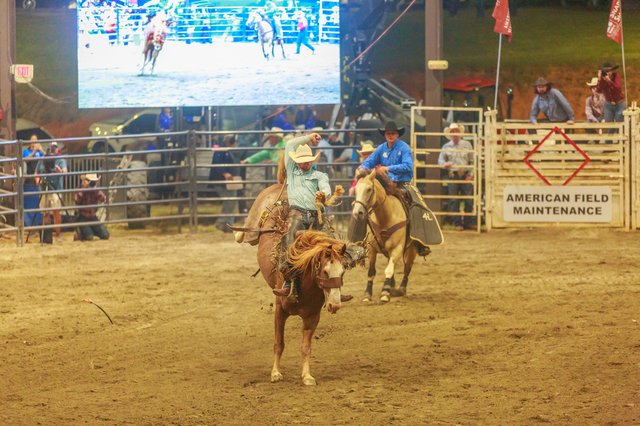 Newton County Rodeo returns for third consecutive year - The Covington News